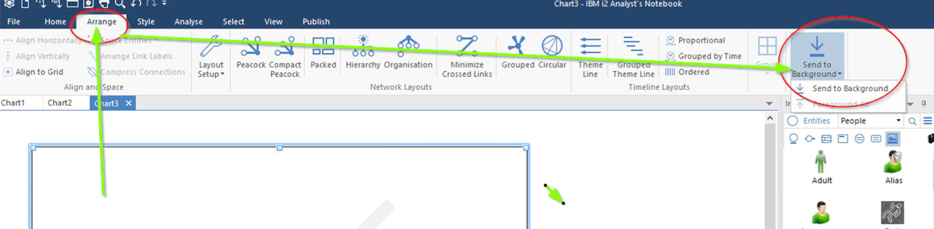 How do I put a watermark on an i2 Analyst's Notebook Chart?