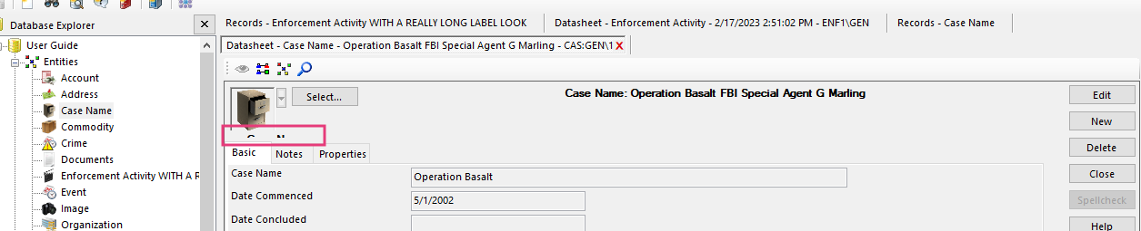 DT00173 When using iBase User to display an entity record with a long ...