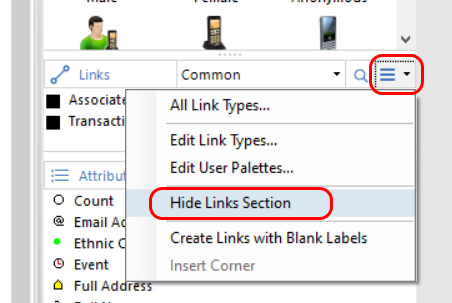 Some sections of the "Insert from Palette" pane are missing